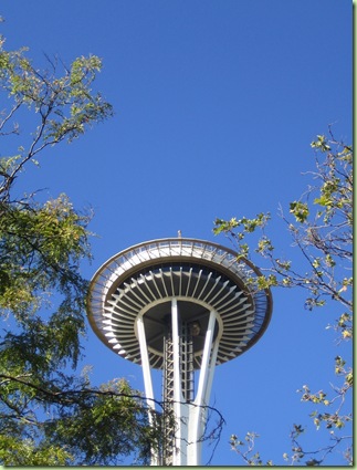 Northwest Ladybug: Warm, sunny weather in Seattle! Spring is here!